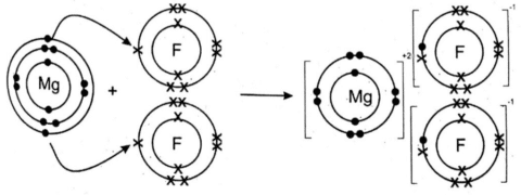 Chemistry 9 Solved Paper 2019 Federal Board FBISE Solved Past Papers