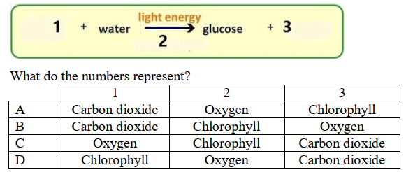 Class 9 Biology Model Paper 2 MCQs Test - FBISE Solved Past Papers