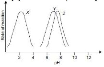 Class 9 Biology Model Paper 2 MCQs Test - FBISE Solved Past Papers